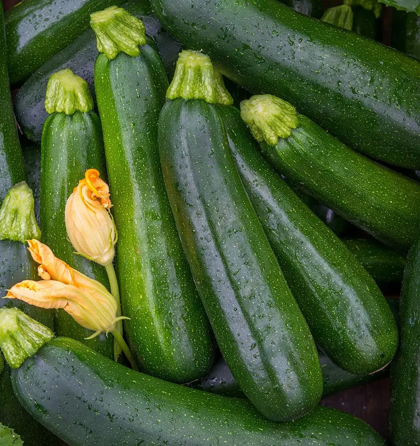 Zucchini Nutrition Facts And Health Benefits