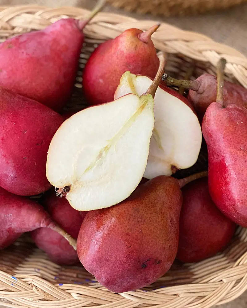 20 Types Of Pears And Their Health Benefits