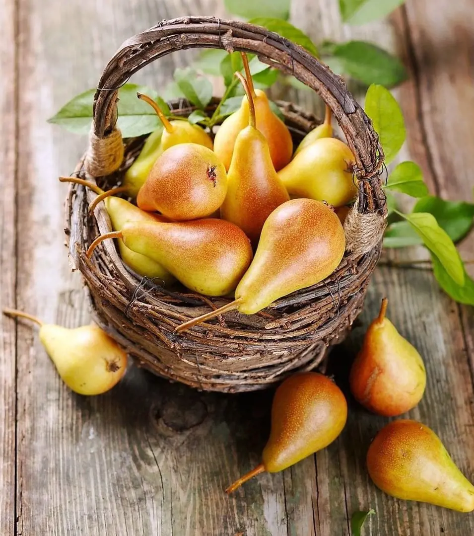 20 Types Of Pears And Their Health Benefits