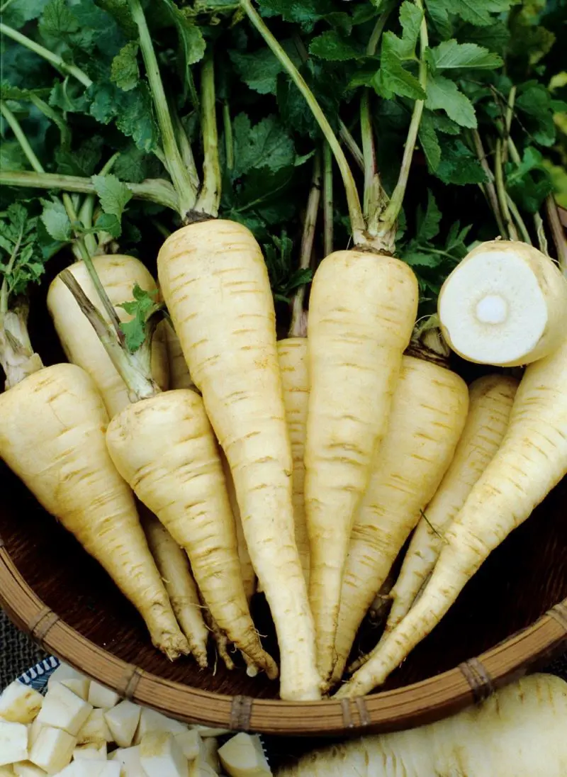 20 Starchy Vegetables For A Health Boost