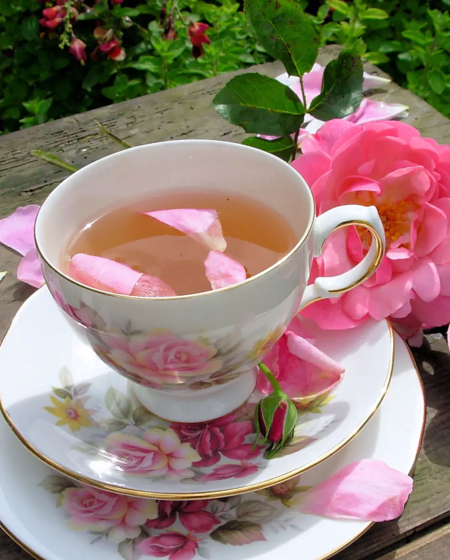 10 Remarkable Rose Tea Benefits For Your Health