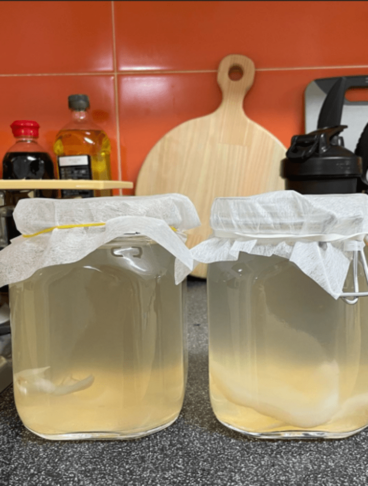 How To Make Kombucha Tea At Home