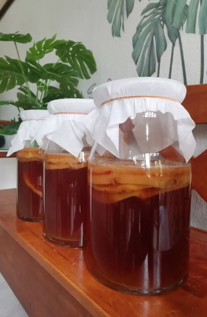 How To Make Kombucha Tea At Home