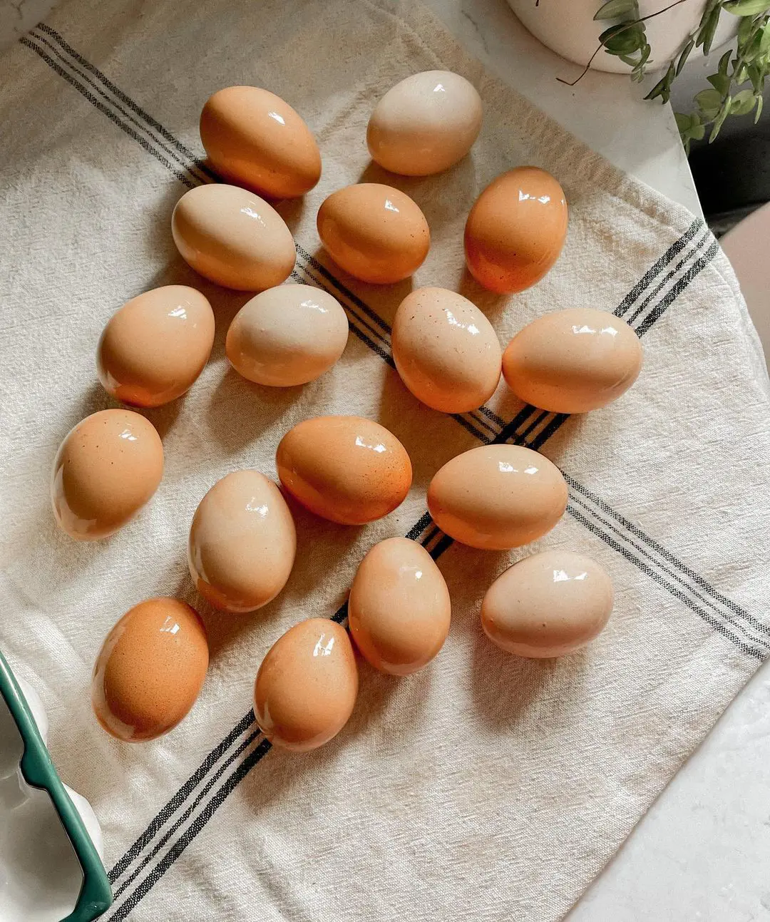 How To Clean Fresh Eggs