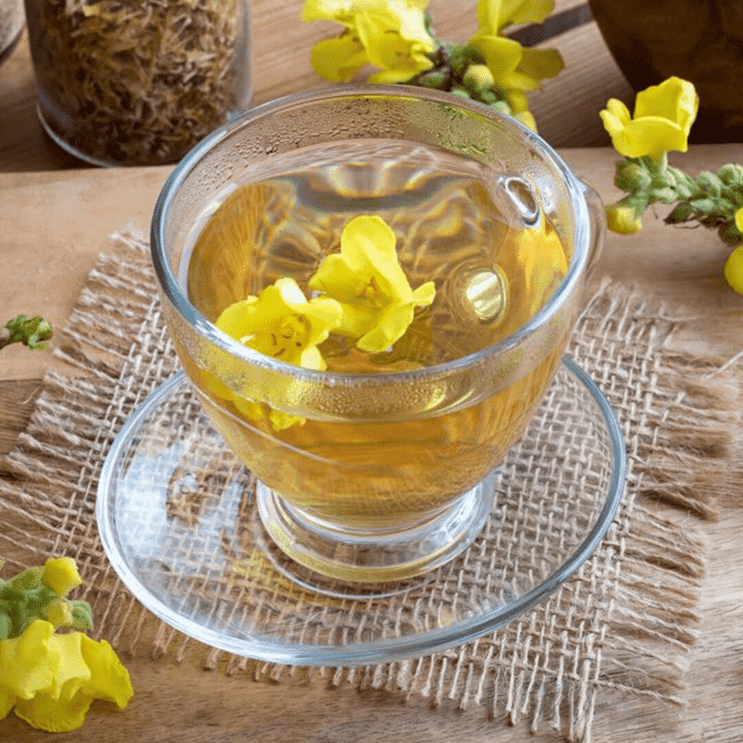 16 Mullein Tea Benefits For Your Health