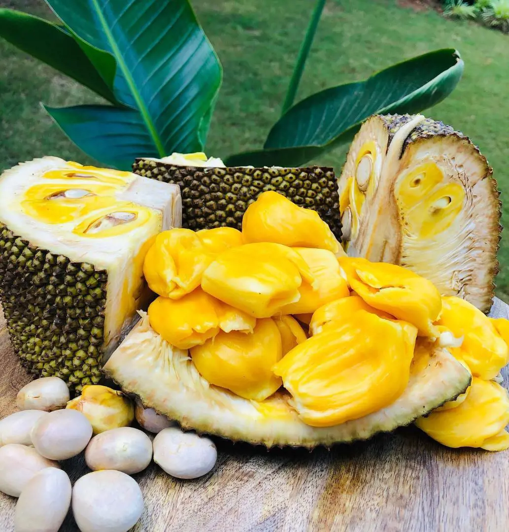10 Health Benefits Of Jackfruit