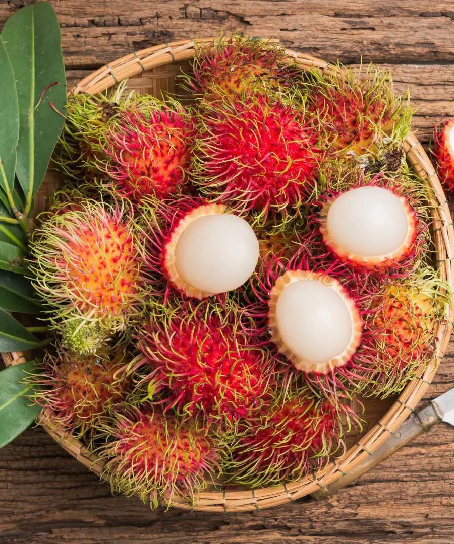 13 Health Benefits of Eating Rambutan