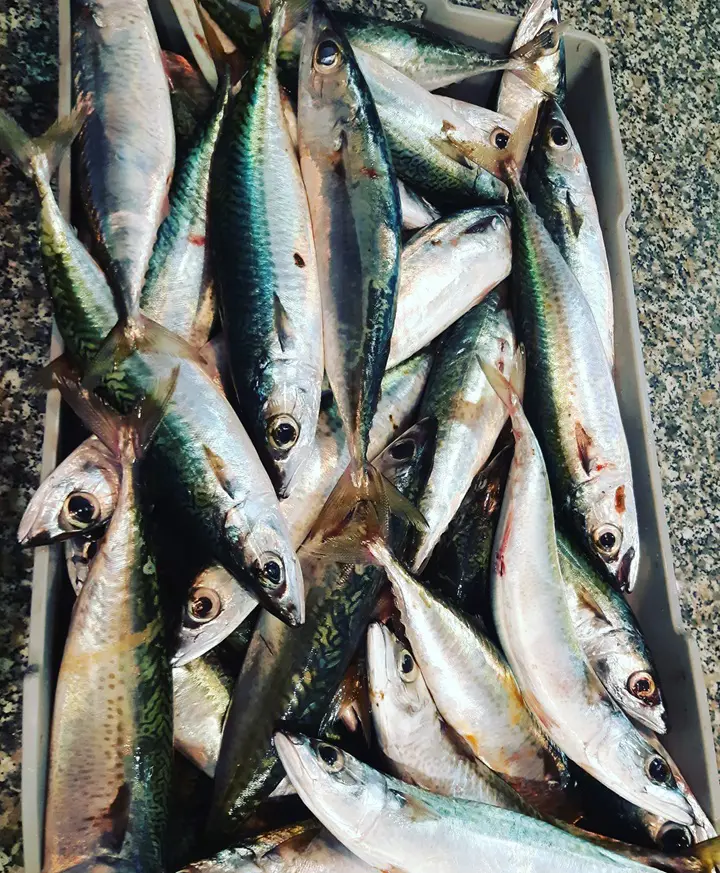 20 Best Foods For Gallbladder and What To Avoid