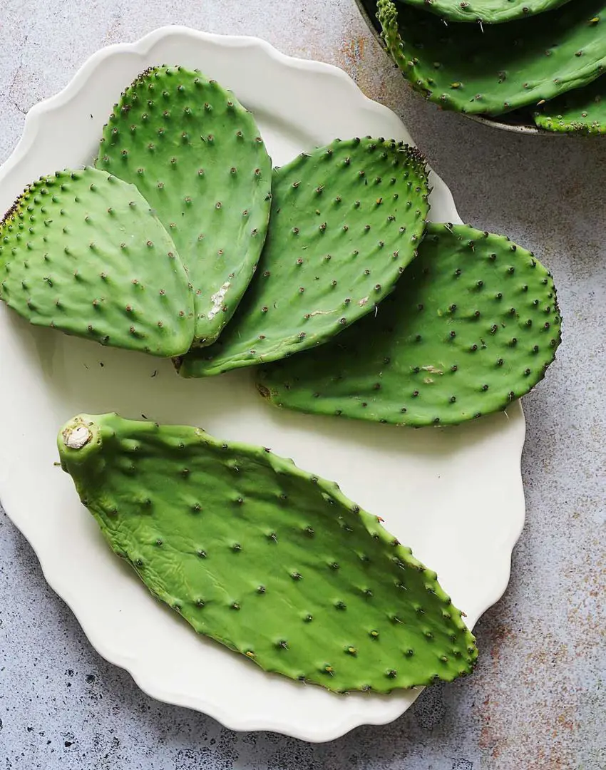 15 Nopal Cactus Benefits and Nutrition