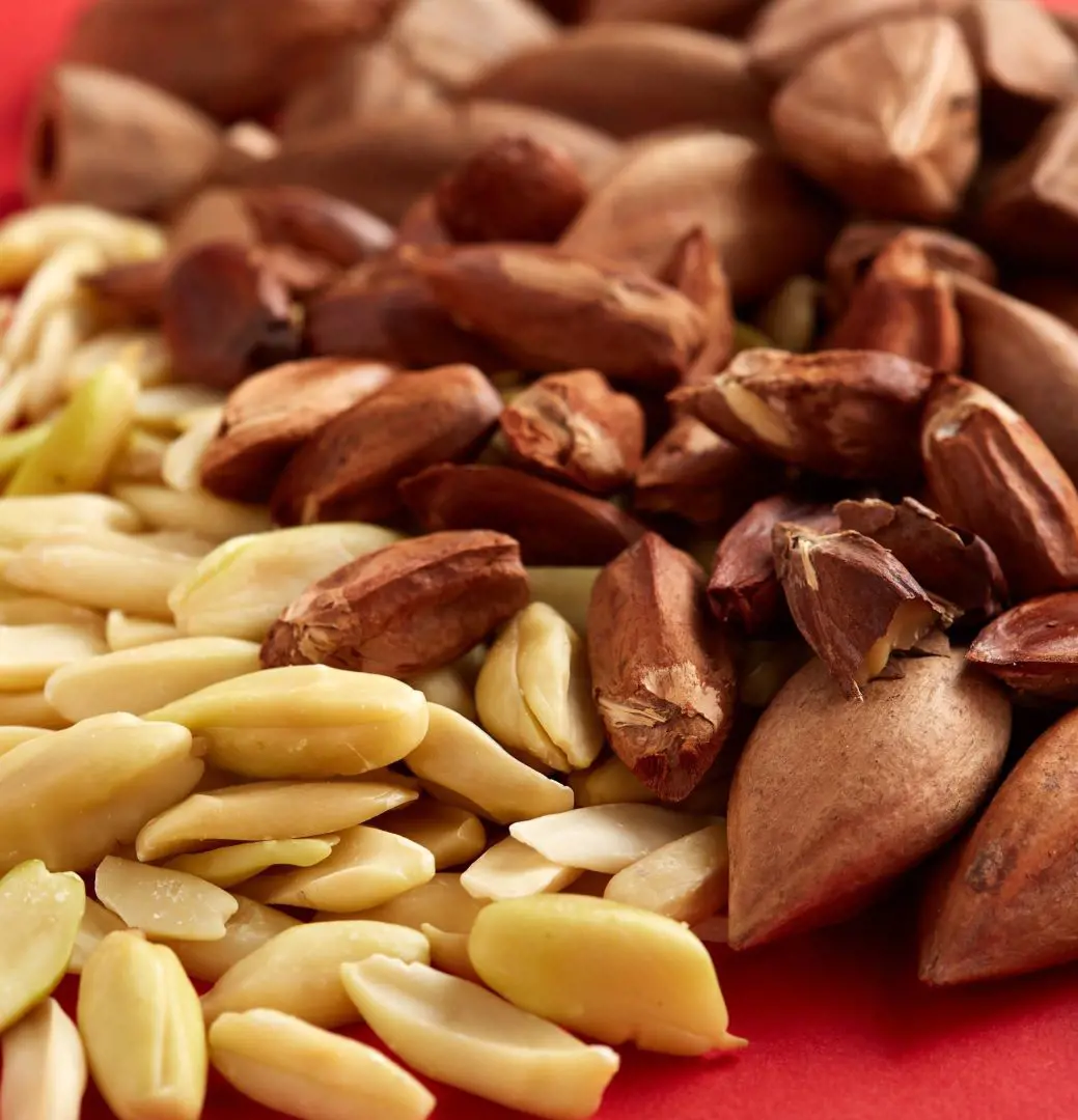 20 Different Types Of Nuts You Should Try