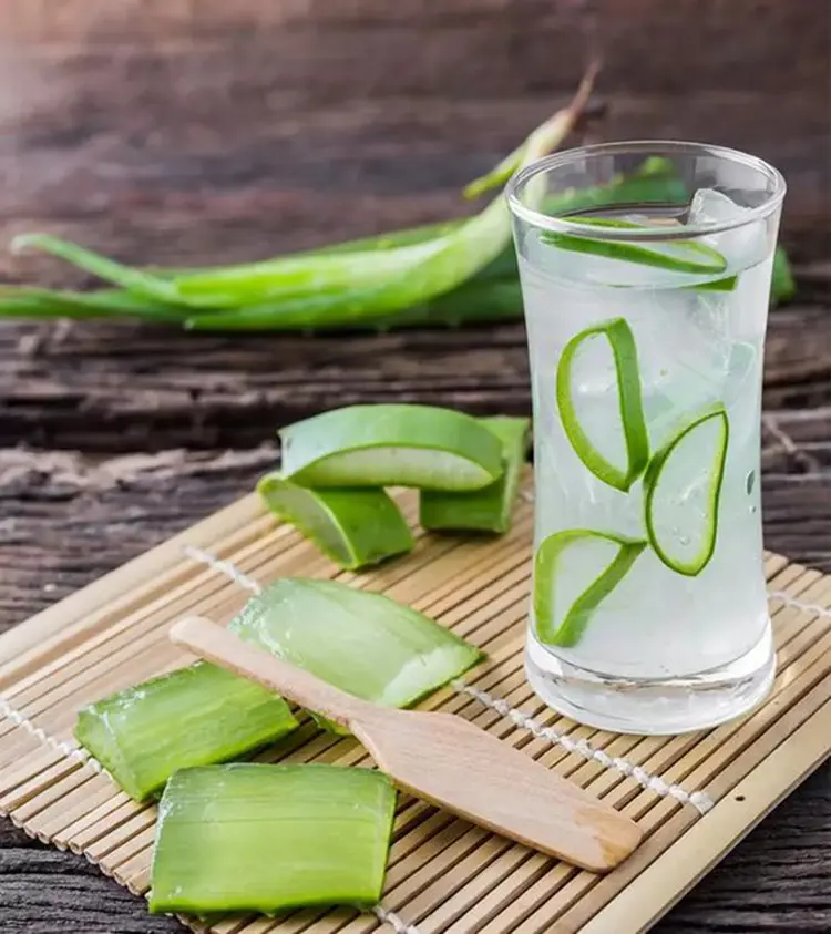 18 Aloe Juice Benefits For The Body and How To Use It